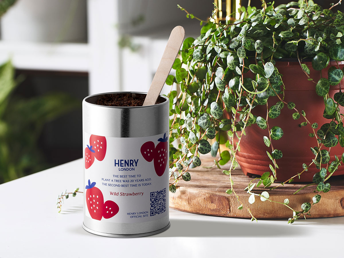 HENRY LONDON Japan Official Site / 2023SSペアウォッチ